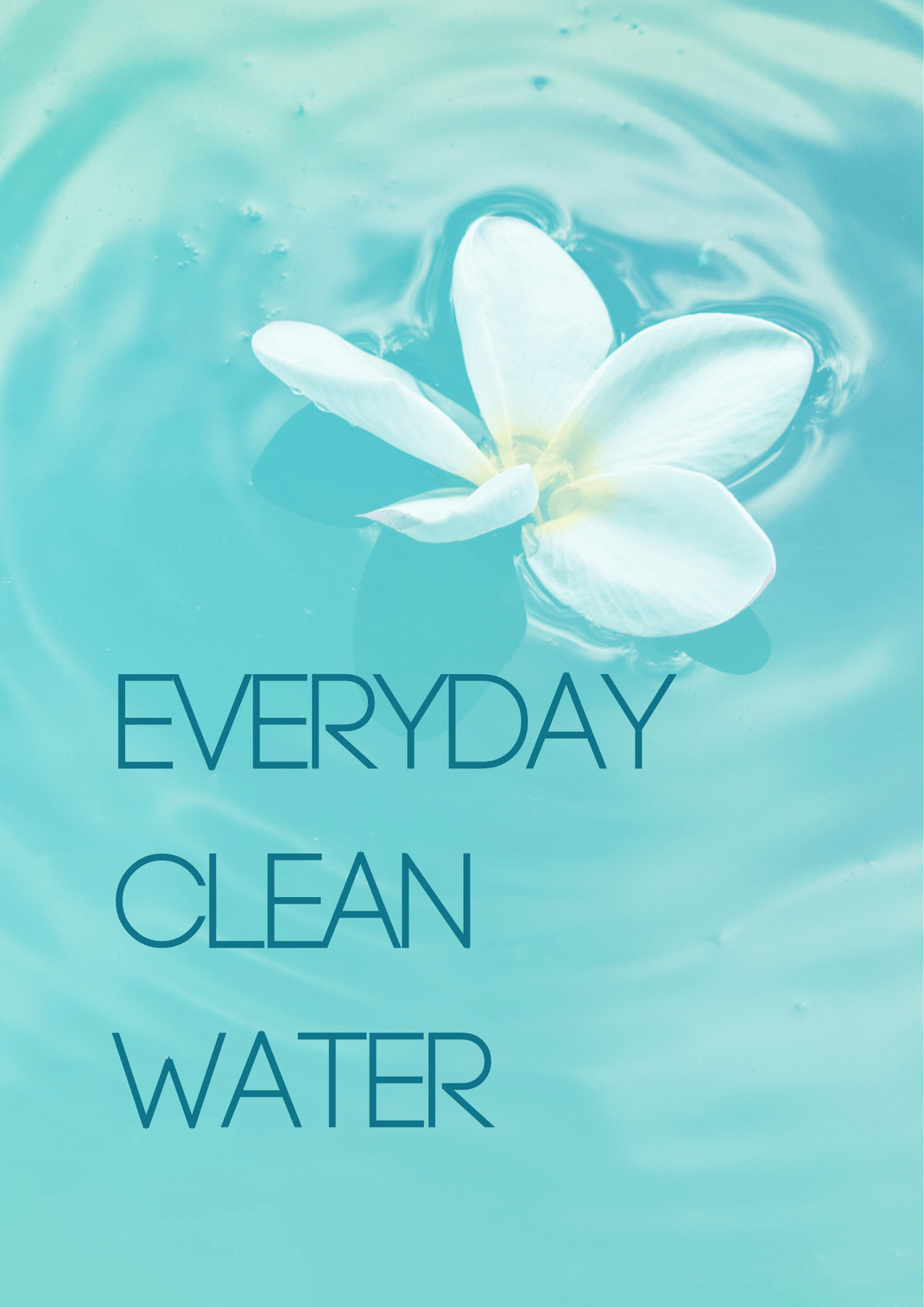 Everyday Clean Water Bundle | Shower & Bath Upgrade – HolyH2O