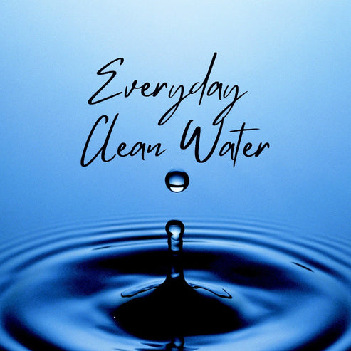 Everyday Clean Water Bundle | Shower & Bath Upgrade – HolyH2O